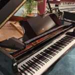 Home - Daynes Music Company